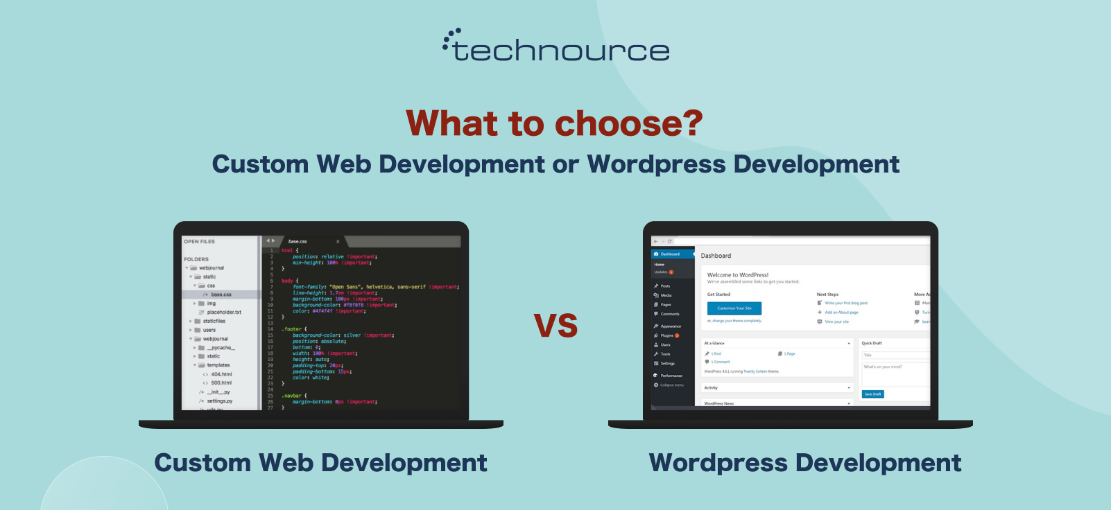 Custom Web Development or Wordpress Development